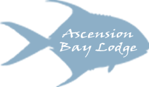 Lodge - Ascension Bay Lodge